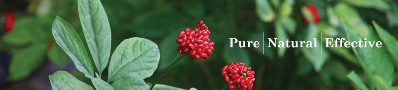 Spring Wind Herbal Products - Exceptionally Effective